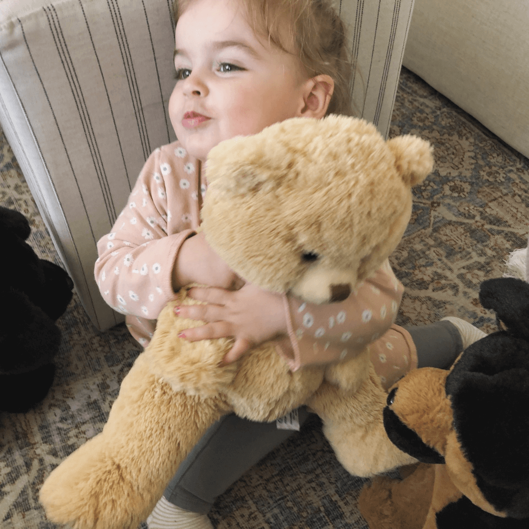 Blessing Bears – The Graceful Goose